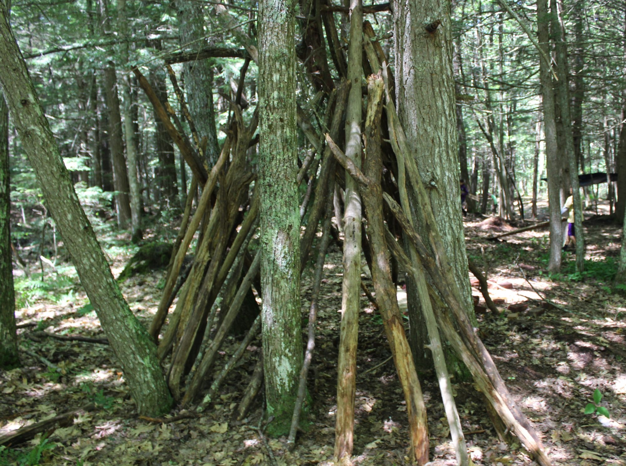 How to Build a Stick Fort – Childhood By Nature