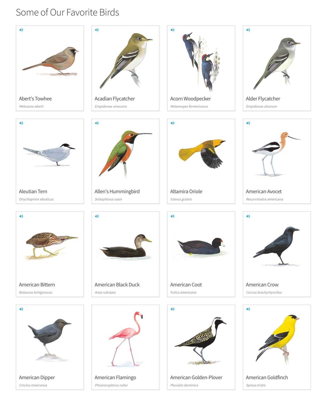 Why Your Kids Need to Go Birding – Childhood By Nature