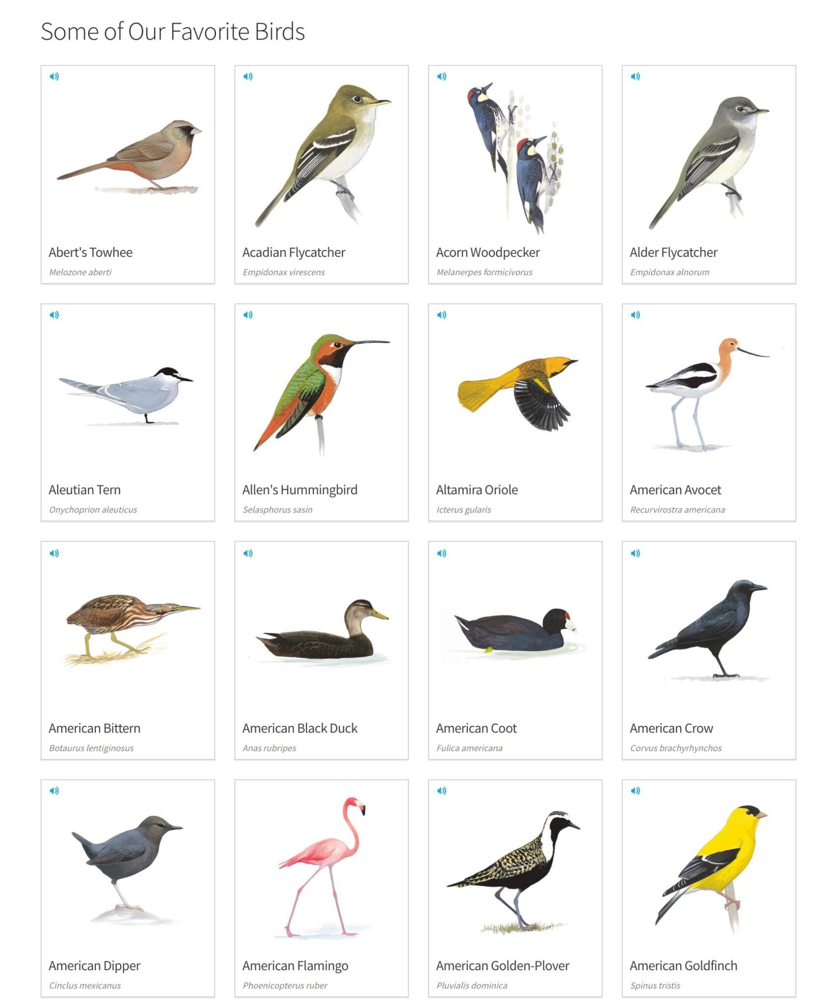 Why Your Kids Need to Go Birding – Childhood By Nature