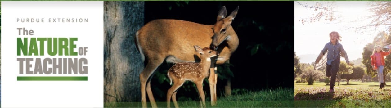 Top FREE Nature-Based Learning Curriculums for Schools and Homeschools ...