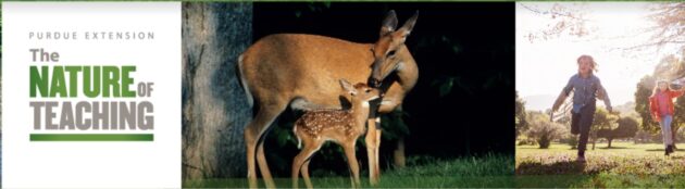 Top FREE Nature-Based Learning Curriculums for Schools and Homeschools ...