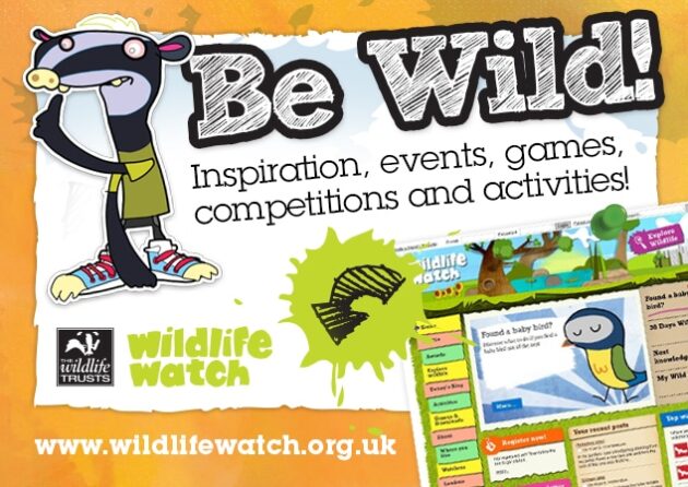 Top FREE Nature-Based Learning Curriculums for Schools and Homeschools ...