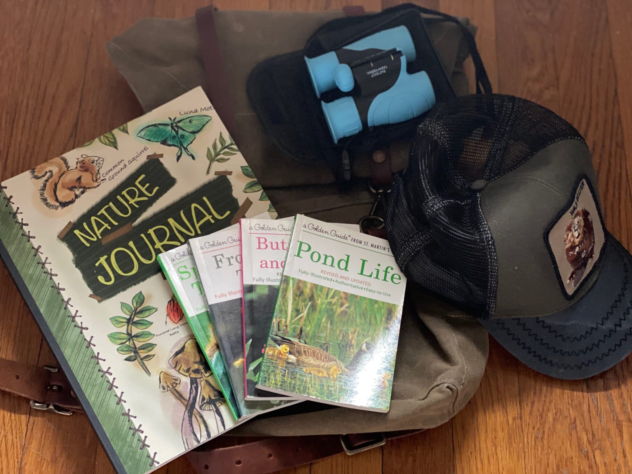 The Essentials of Nature Journaling for Kids – Childhood By Nature