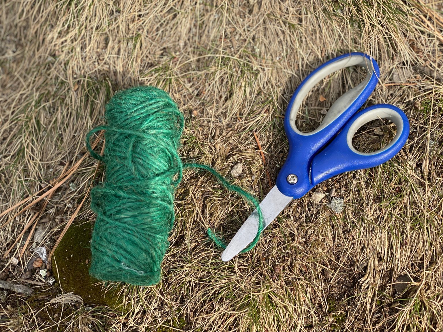 How to Make a Journey Stick – Childhood By Nature