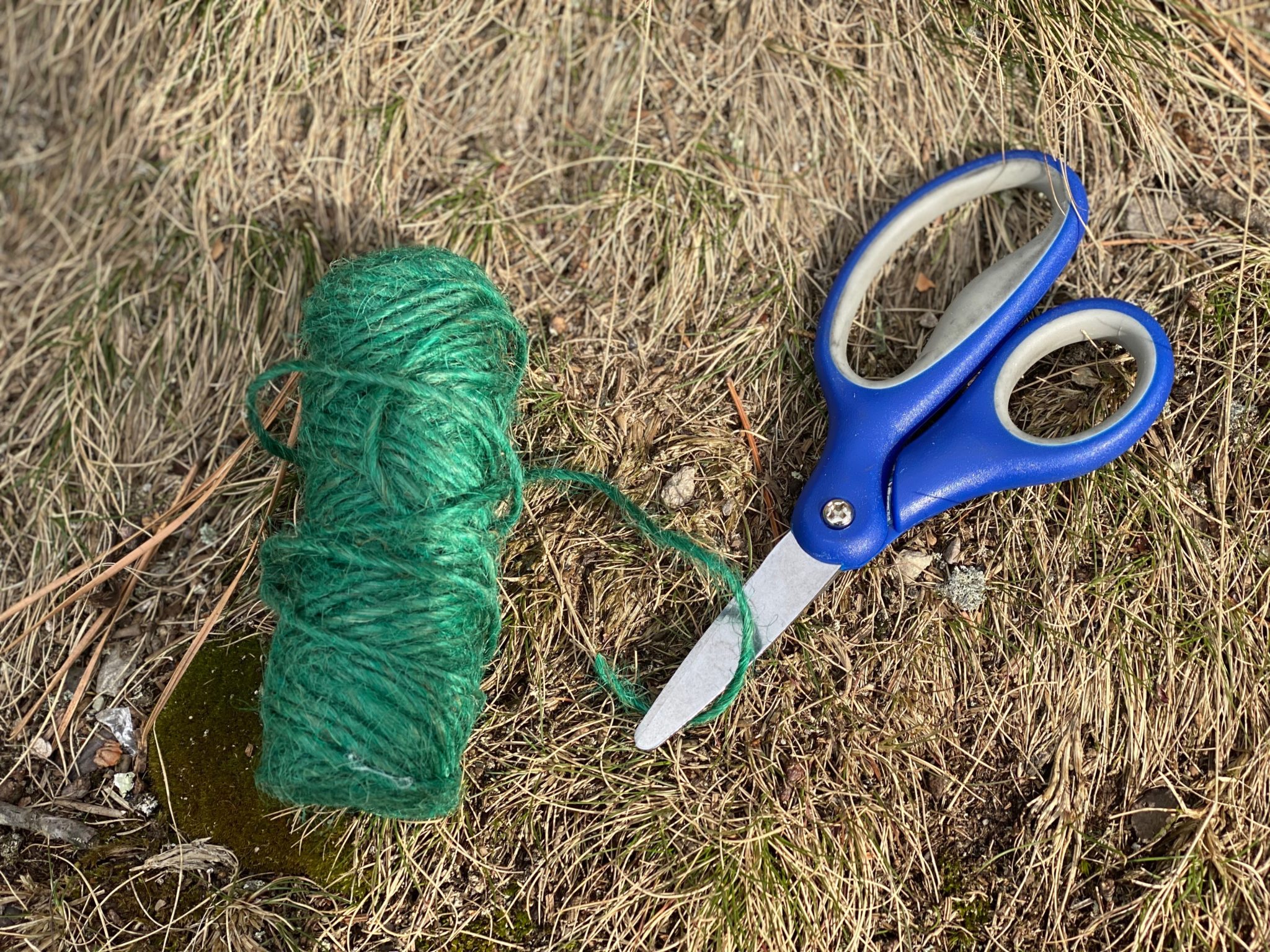 How to Make a Journey Stick – Childhood By Nature