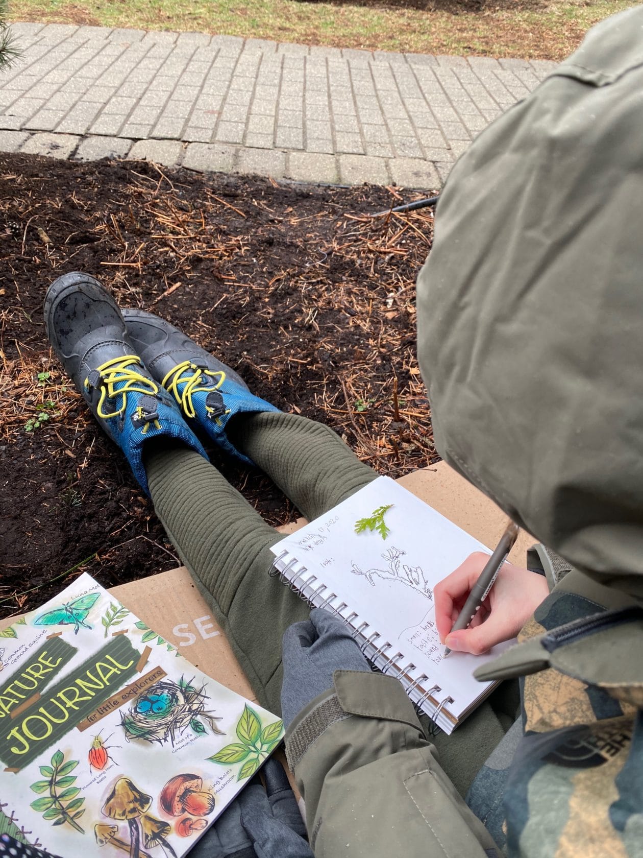 The Essentials of Nature Journaling for Kids – Childhood By Nature