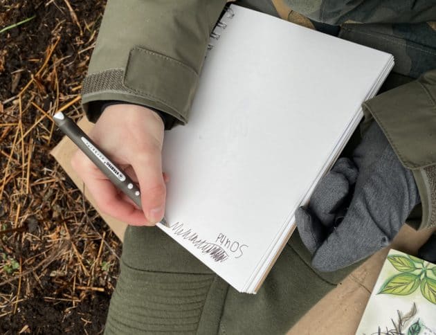 How to Build a Stick Fort – Childhood By Nature