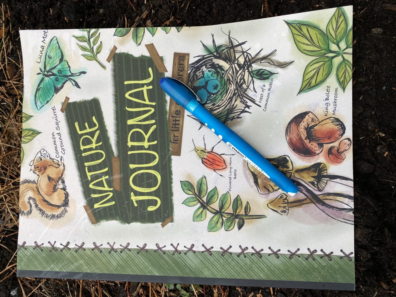 The Essentials of Nature Journaling for Kids – Childhood By Nature