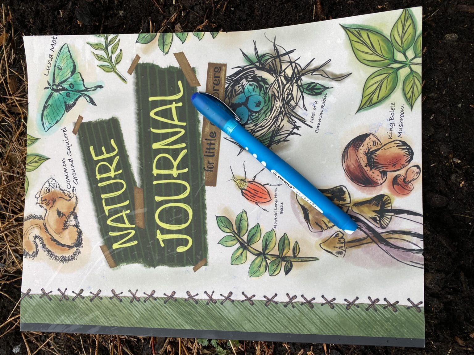The Essentials of Nature Journaling for Kids – Childhood By Nature
