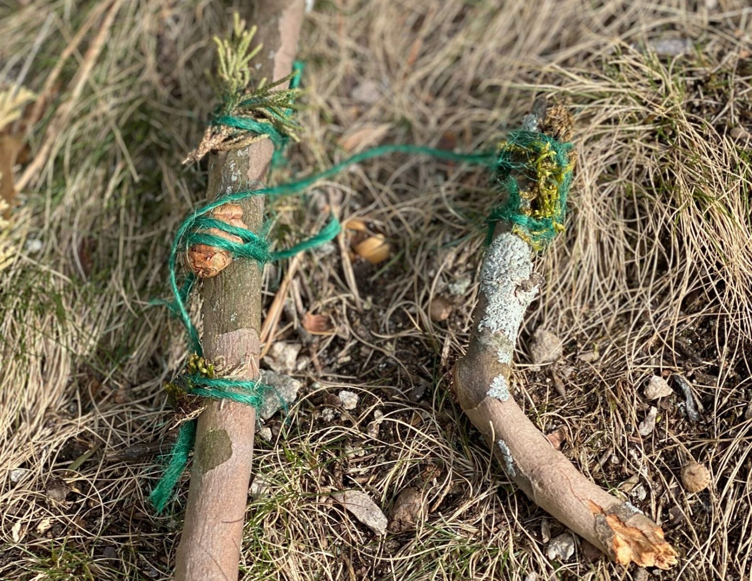 How to Make a Journey Stick – Childhood By Nature