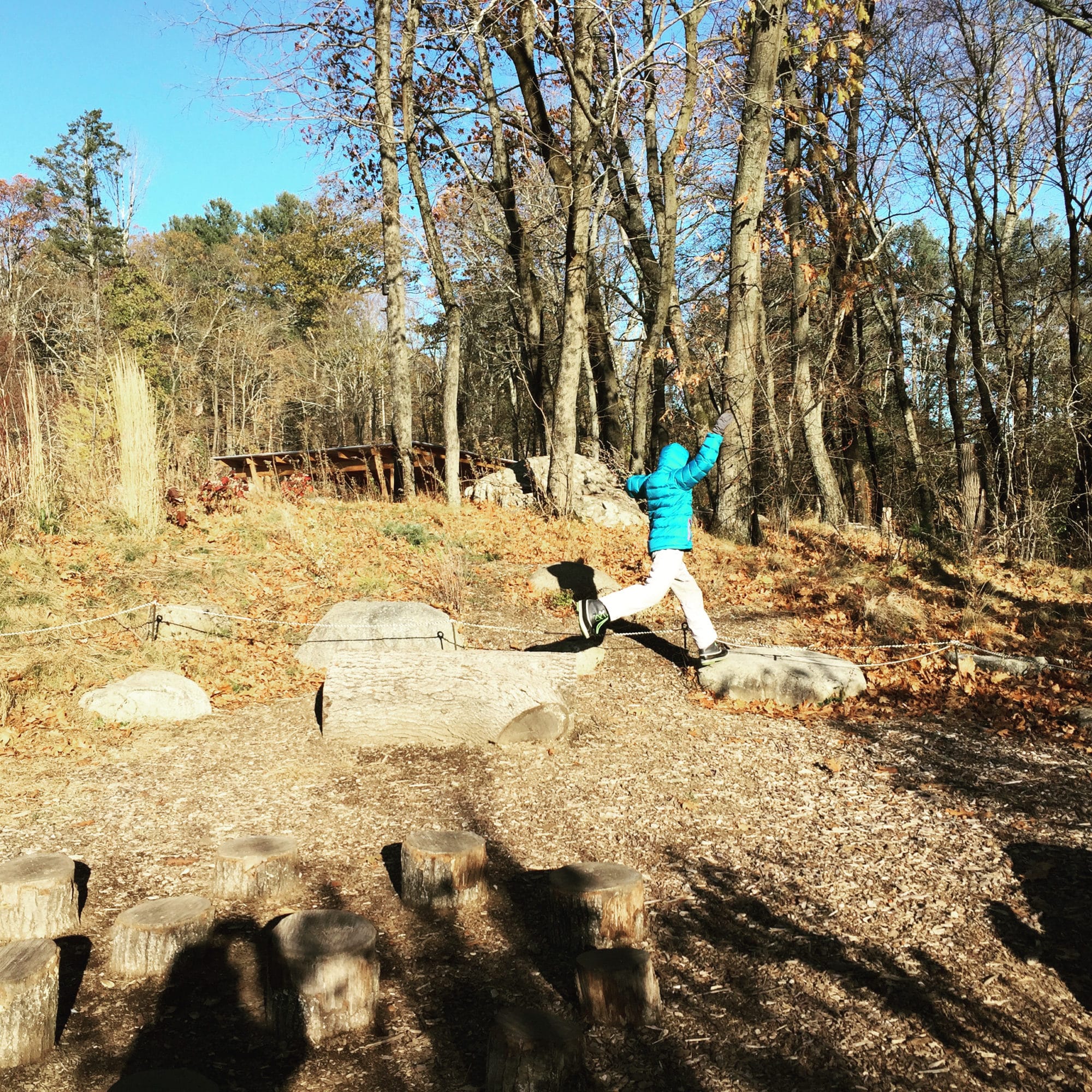 Nature Play-ify Your Backyard – Childhood By Nature