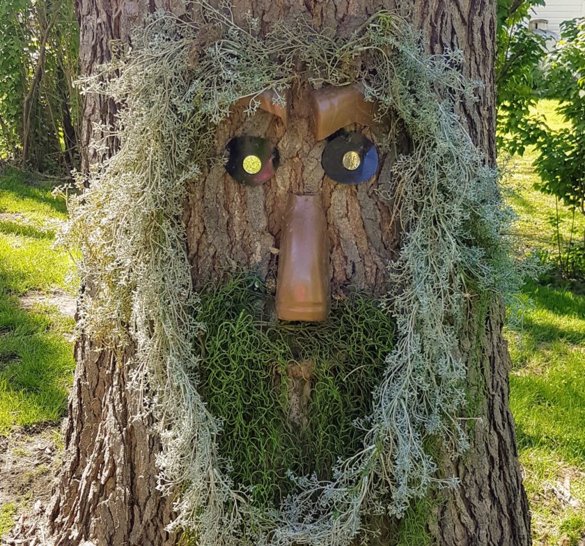 Make a Tree Smile (or Snarl) – Childhood By Nature