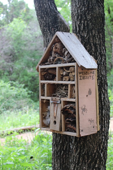 Build a Bug Hotel – Childhood By Nature