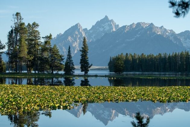 Ponds: Sensory Discovery Zones - Childhood By Nature