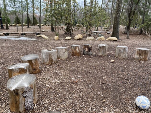 Guide to the Growing World of Nature-Based Learning – Childhood By Nature