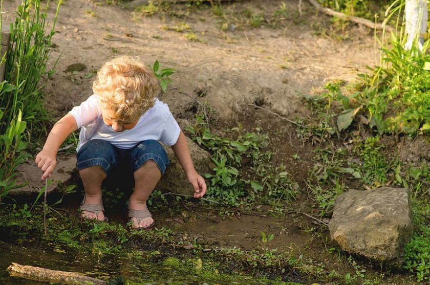 Ponds: Sensory Discovery Zones – Childhood By Nature