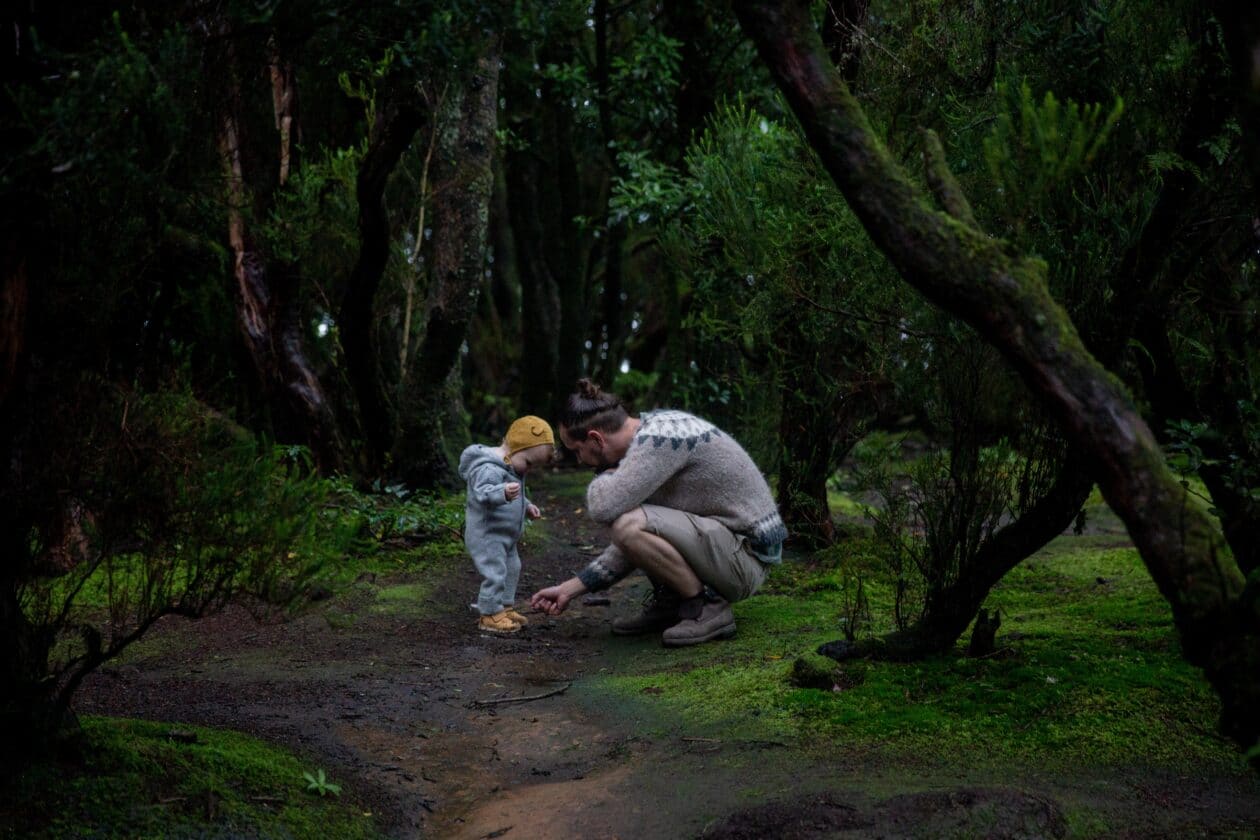 The Magical World of…Moss – Childhood By Nature