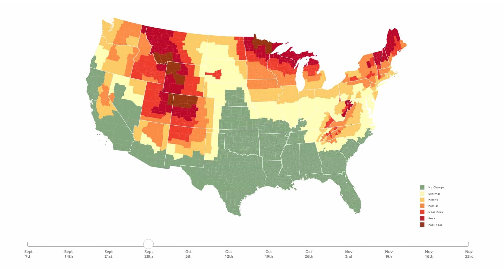 Tips for a Phenomenal Family Fall Hike – Childhood By Nature