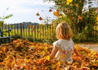 Exploring Nature with Children: Our Favorite Fall Activities ...