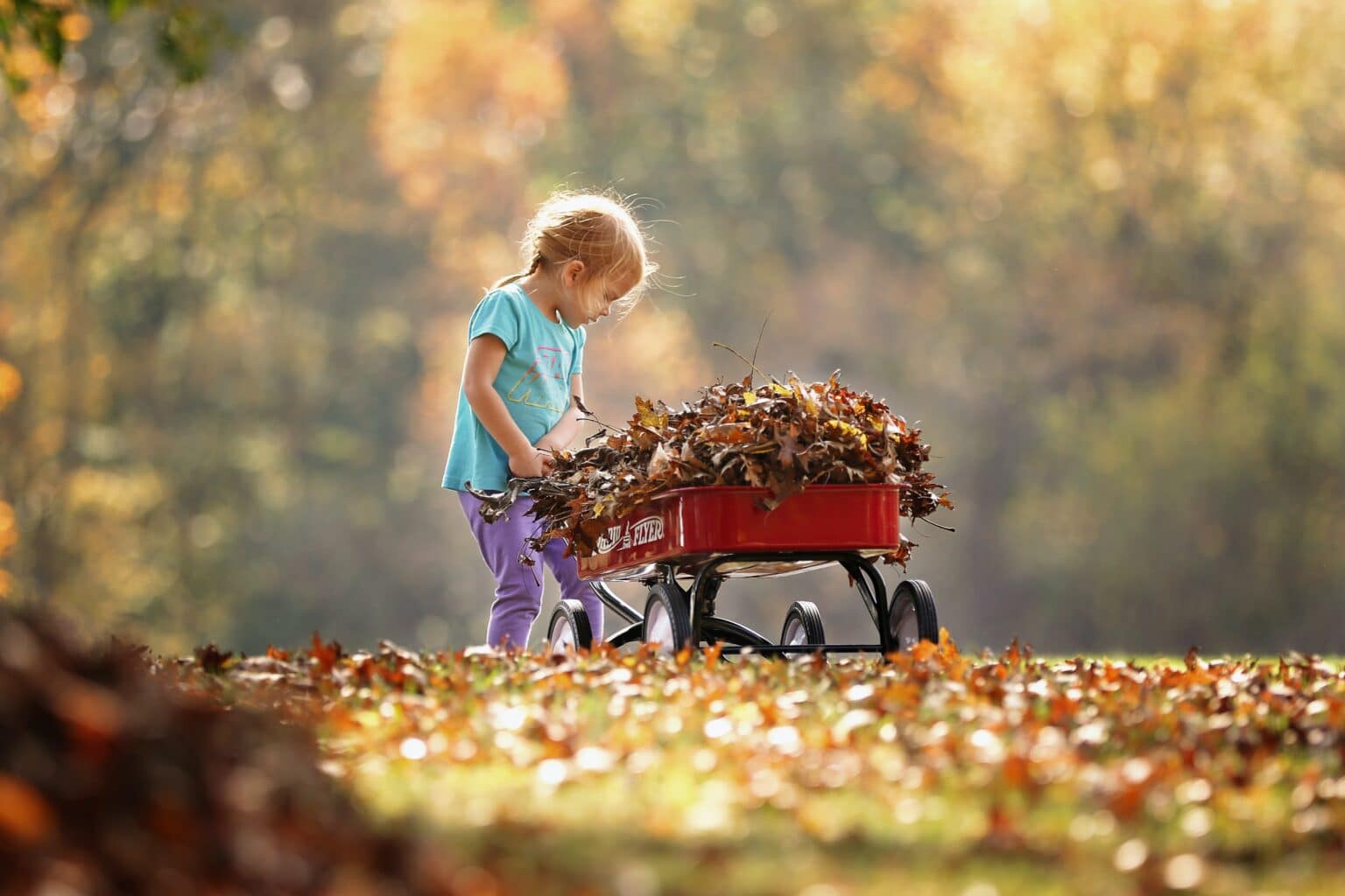 Exploring Nature with Children: Our Favorite Fall Activities ...