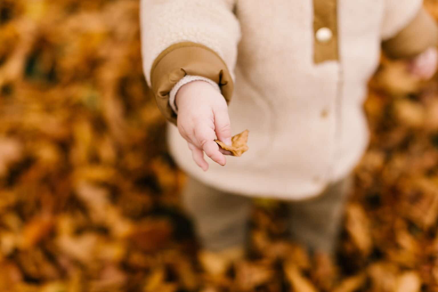 Exploring Nature with Children: Our Favorite Fall Activities ...