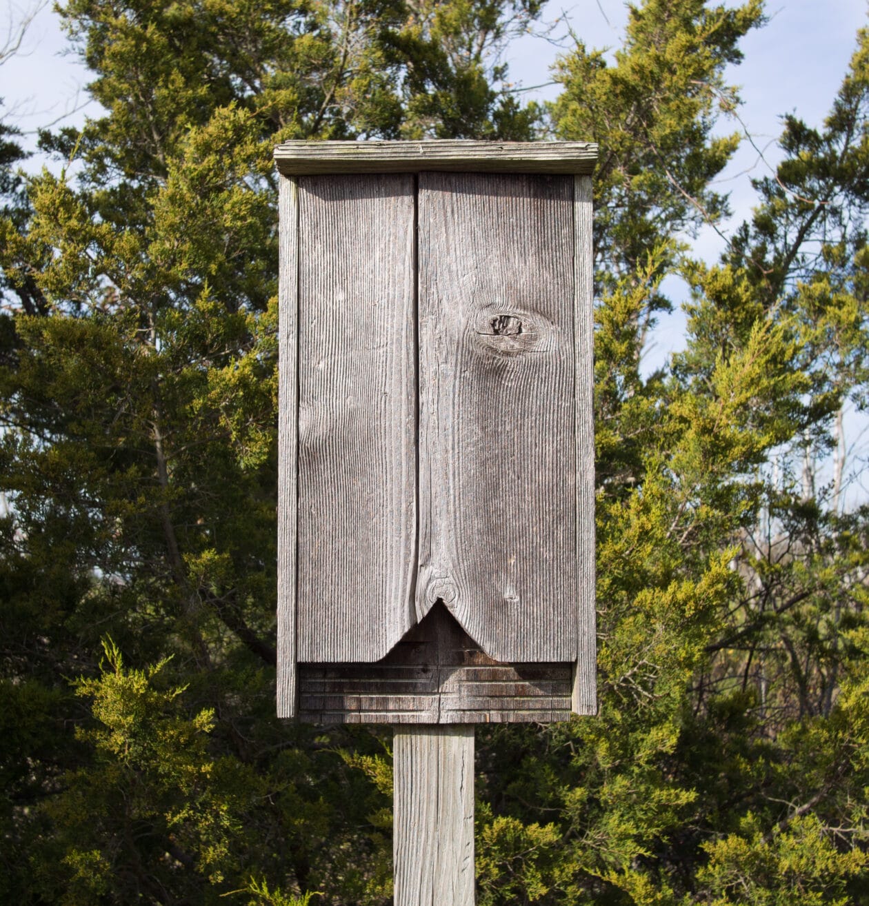 Build a Better Bat House – Childhood By Nature