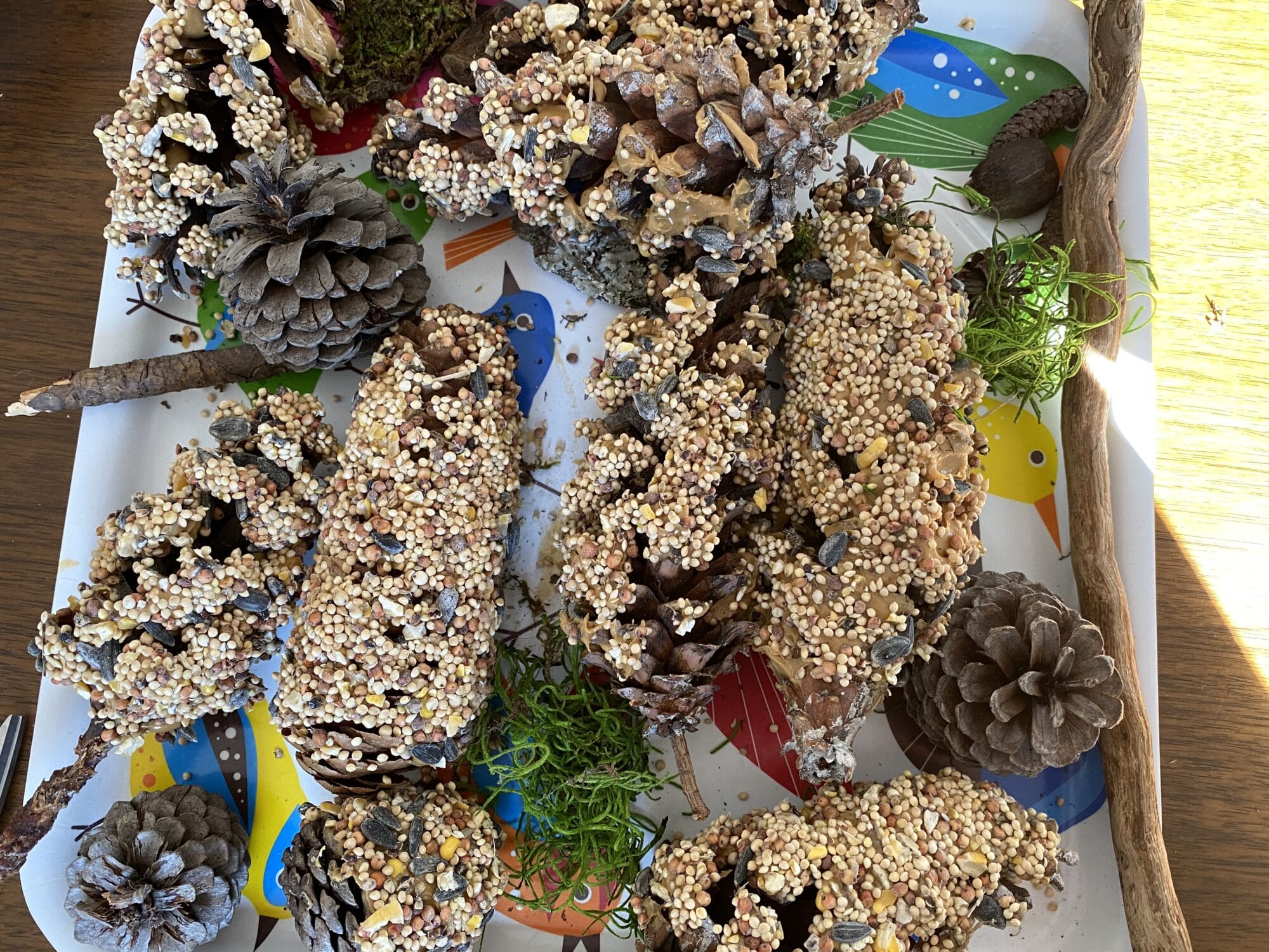 Make a Cheap, Easy Fall Bird Feeder – Childhood By Nature