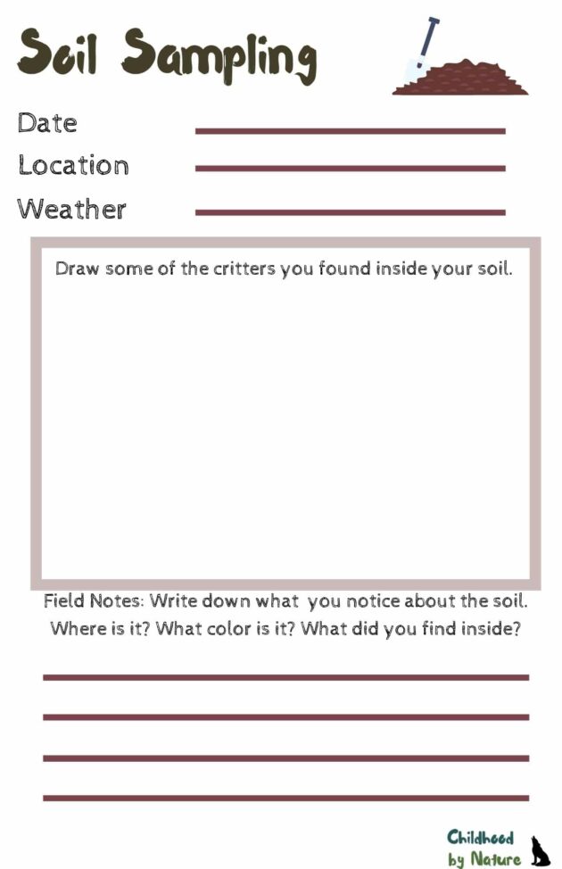 Nature Beneath the Surface: Sampling Soil – Childhood By Nature