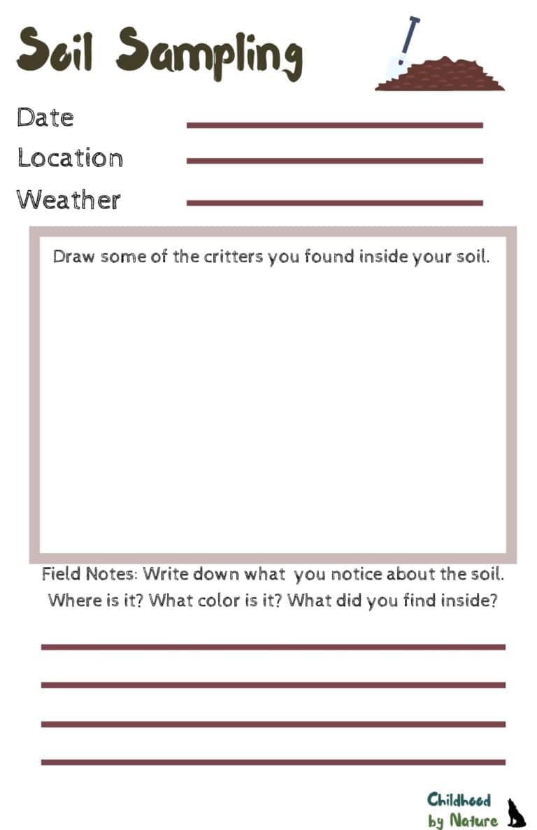 Nature Beneath the Surface: Sampling Soil – Childhood By Nature