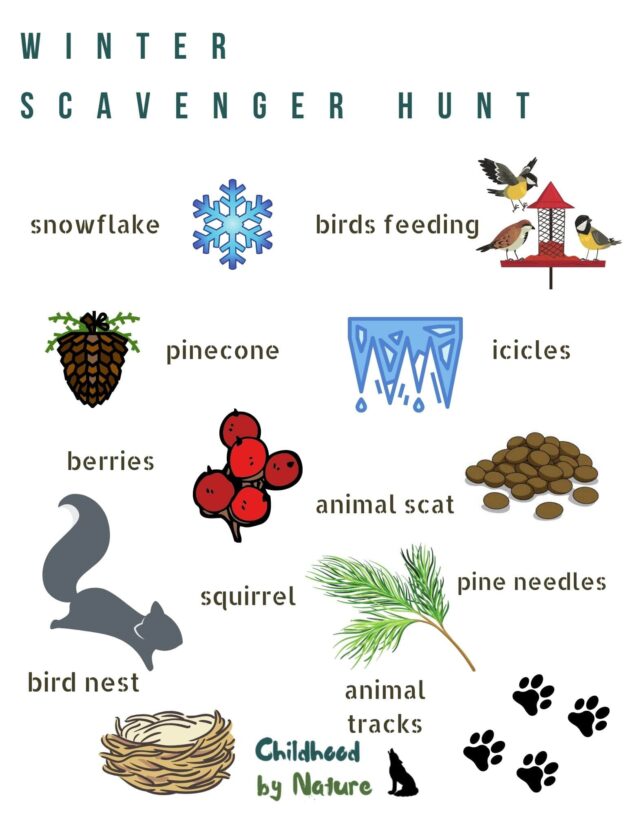 Our Favorite Family Winter Activities – Childhood By Nature