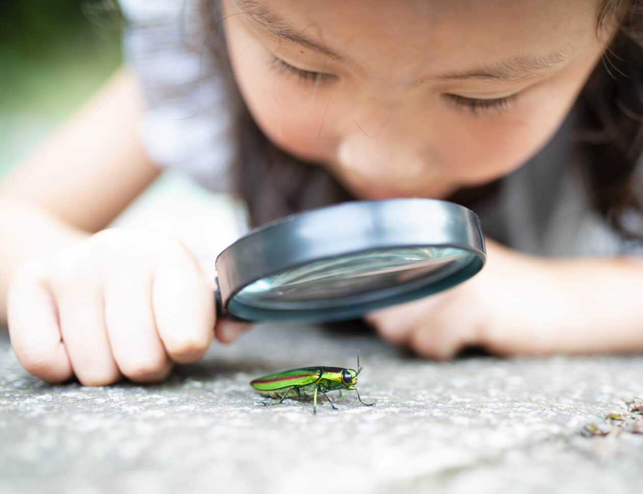 Starter’s Guide for Bringing Nature into the Classroom – Childhood By ...
