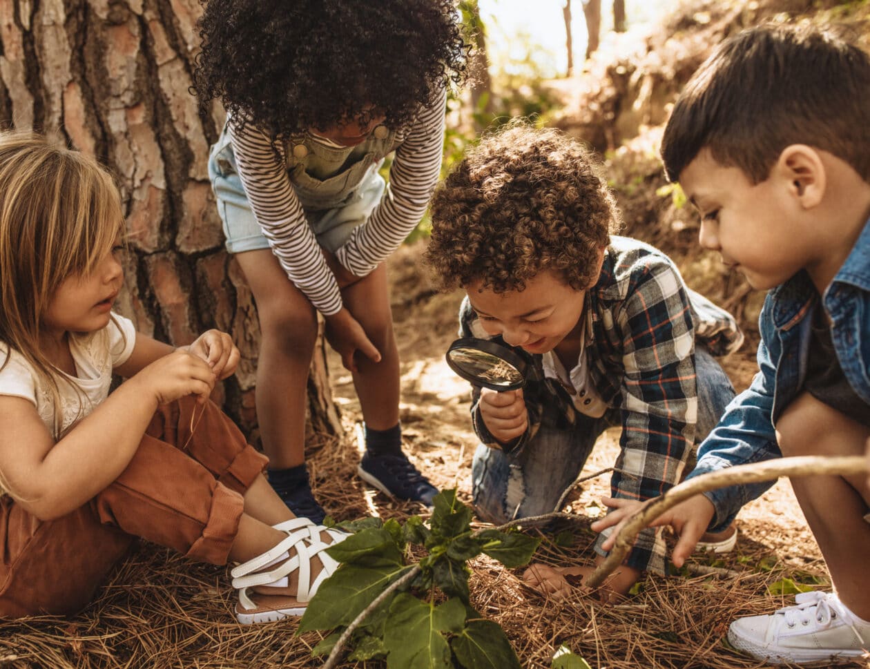 5 Ways to Bring Nature Into Your Child’s Class - Childhood By Nature