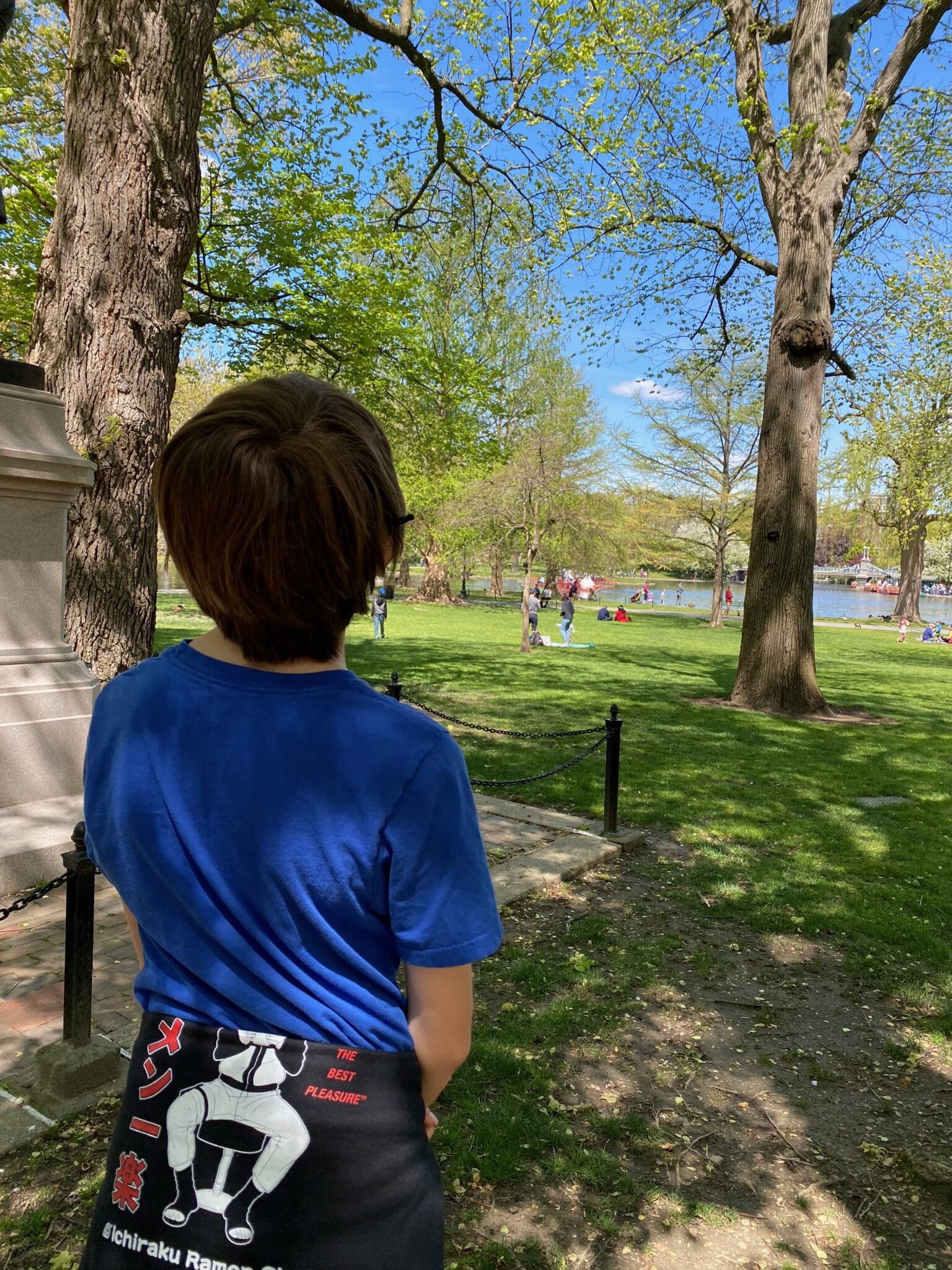 The Best Tree ID Apps – Childhood By Nature