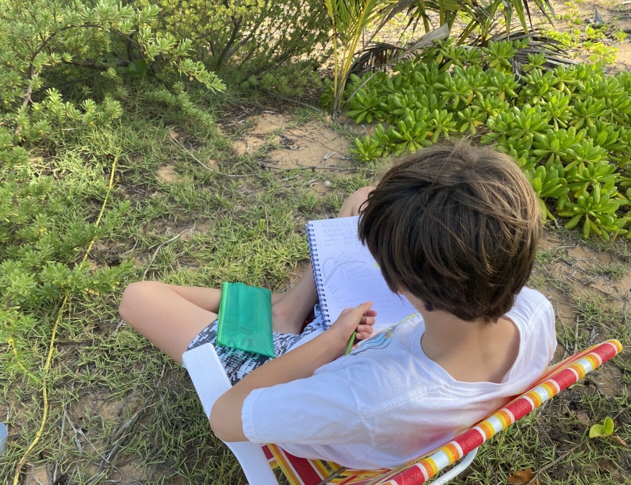 How to Build a Stick Fort - Childhood By Nature