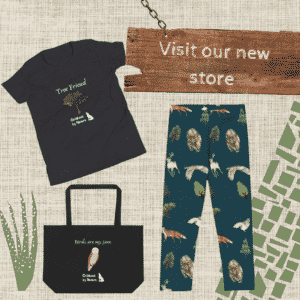 How to Build a Stick Fort - Childhood By Nature