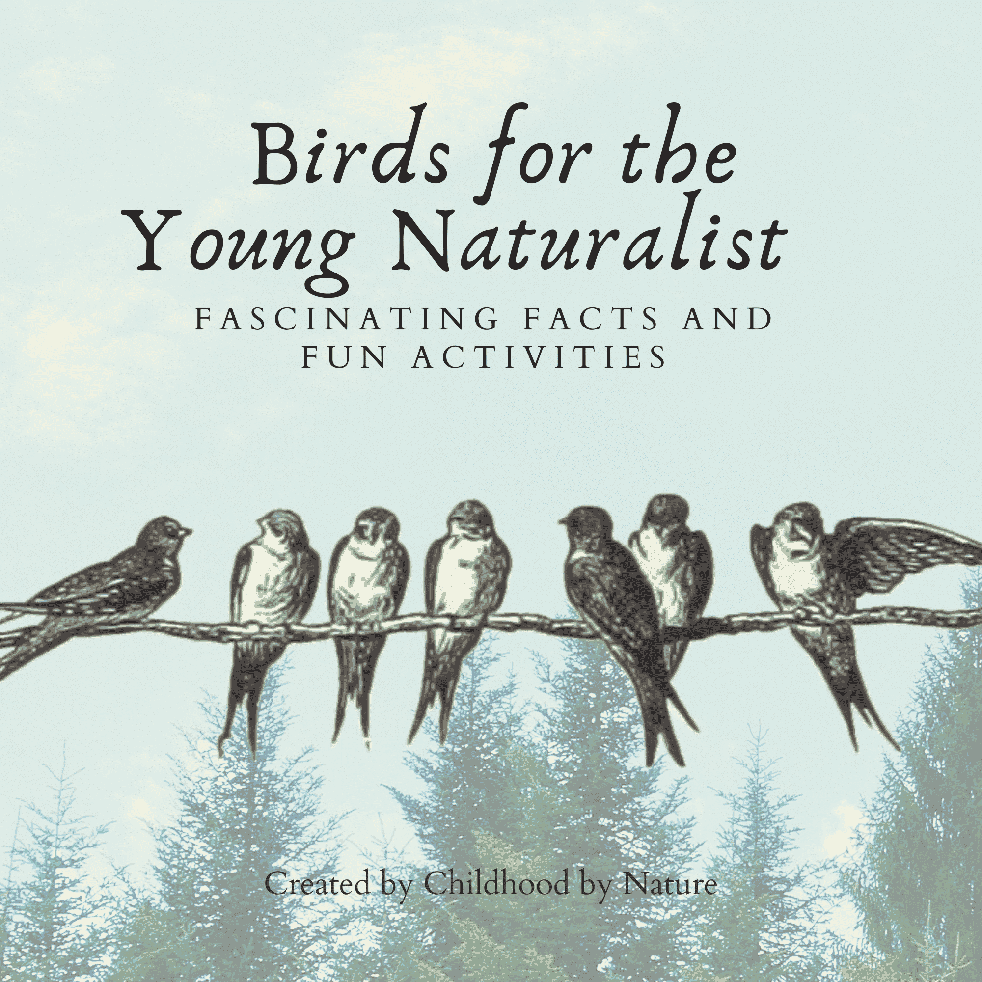 Become a Junior Forest Ranger - Childhood By Nature