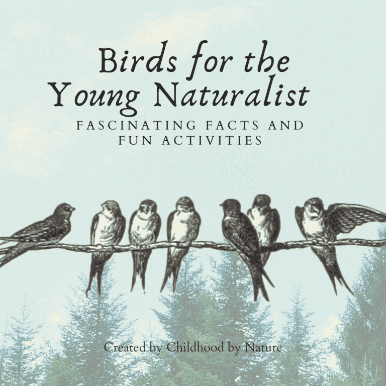 The Beauty of Ephemeral Nature Art – Childhood By Nature