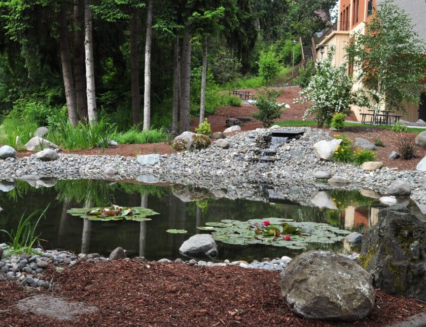 How To Create a Bat-friendly Garden – Childhood By Nature