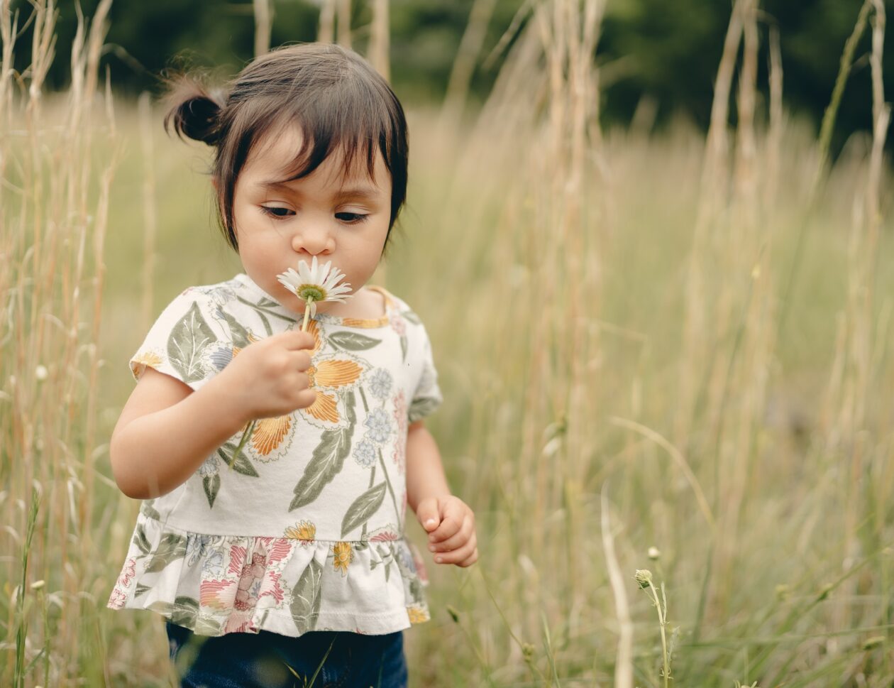 How to Go Owling – Childhood By Nature